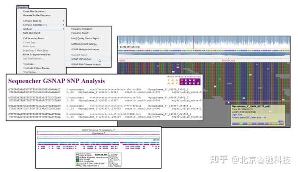 DNA序列分析软件Sequencher的Next-Generation Sequencing功能 - 知乎