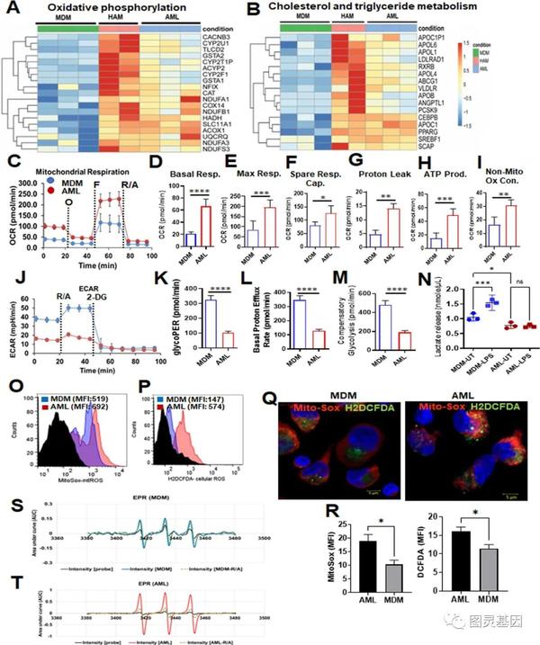 mBio｜模拟肺泡环境的巨噬细胞培养模型研究呼吸系统疾病 - 知乎