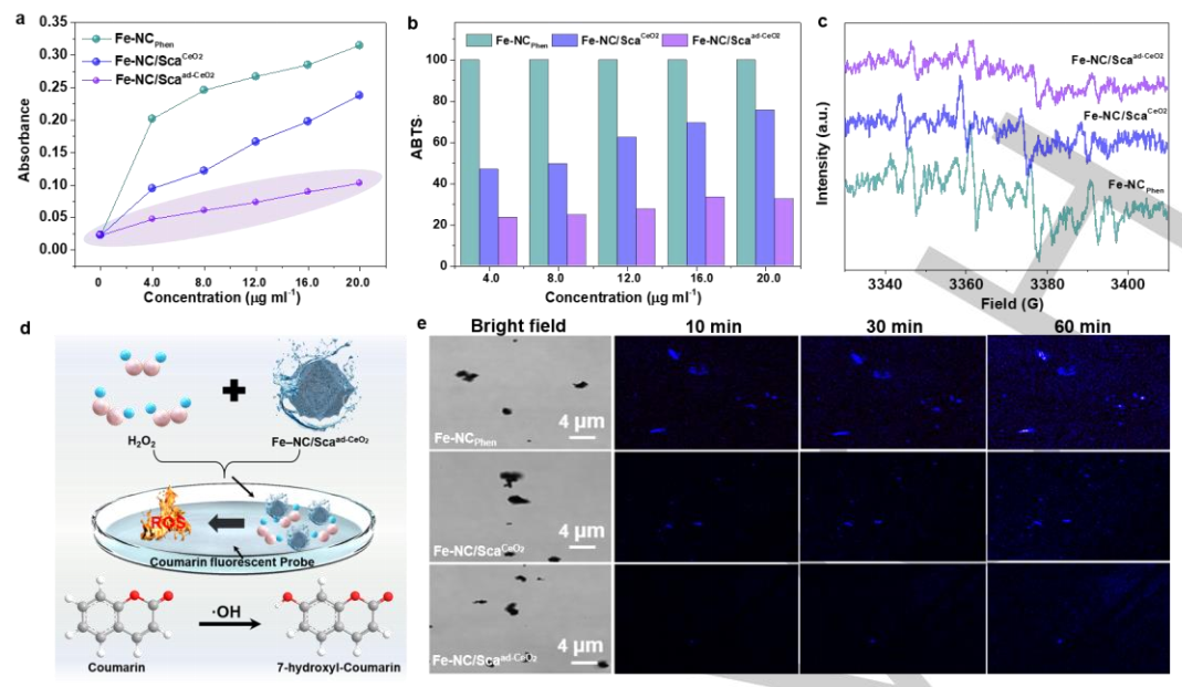 厦大孙世刚团队Angew.：CeO2纳米颗粒-自由基清除剂！ - 知乎