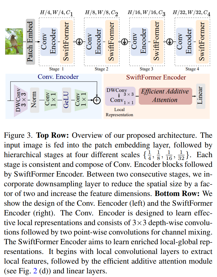 YoloV8改进策略：SwiftFormer，全网首发，独家改进的高效加性注意力用于实时移动视觉应用的模型，重构YoloV8 - 知乎