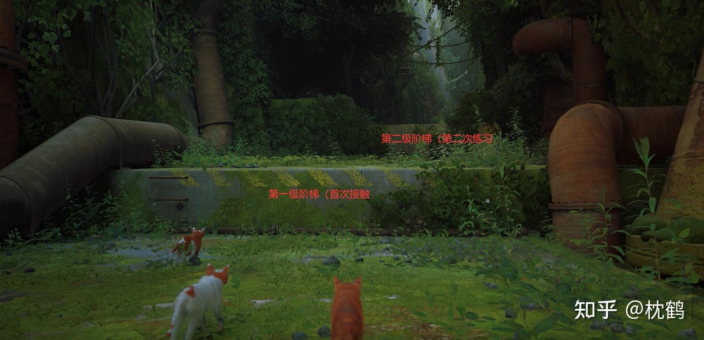 从《Stray》拆解游戏关卡设计和美术（一） - 知乎