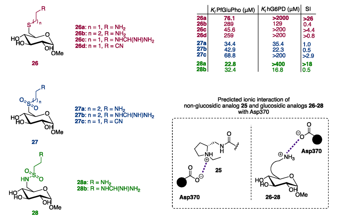 J. Med. Chem. | G6PD小分子抑制剂：抗肿瘤、抗炎和抗传染性疾病 - 知乎