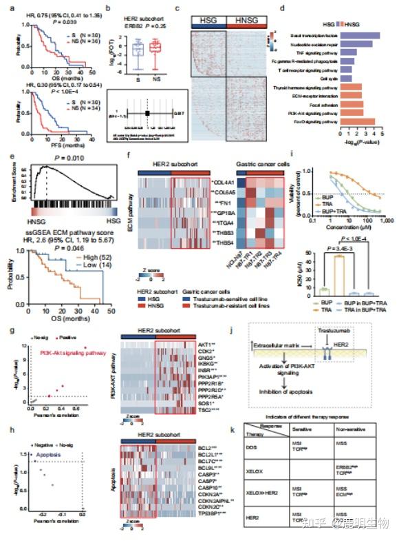 「Nature子刊」基于蛋白质组学揭示了胃癌潜在的治疗策略 - 知乎