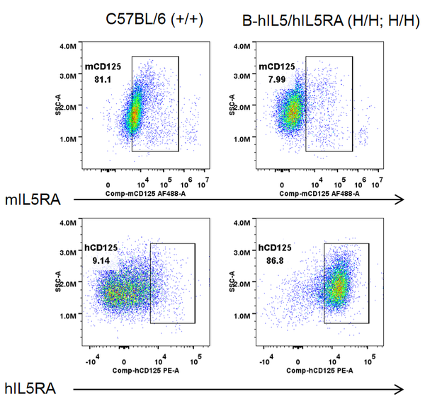 自身免疫疾病潜力靶点——IL-5 & IL-5Rα - 知乎