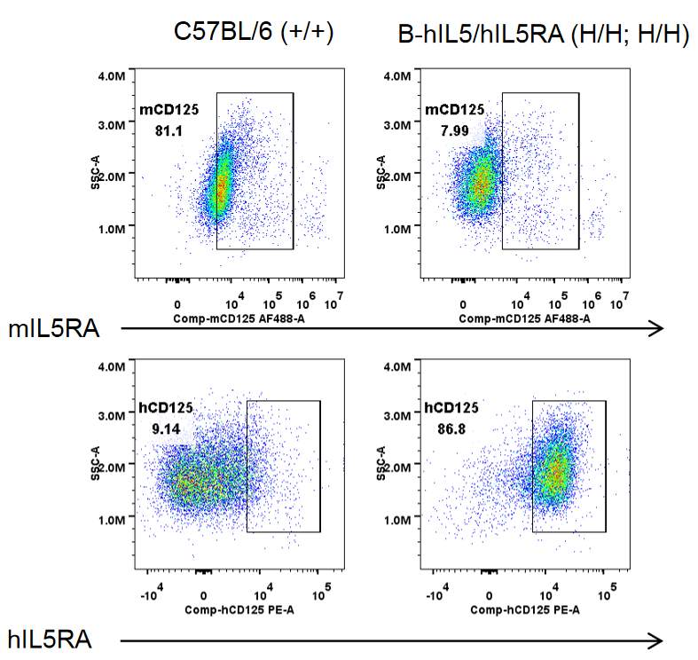 自身免疫疾病潜力靶点——IL-5 & IL-5Rα - 知乎