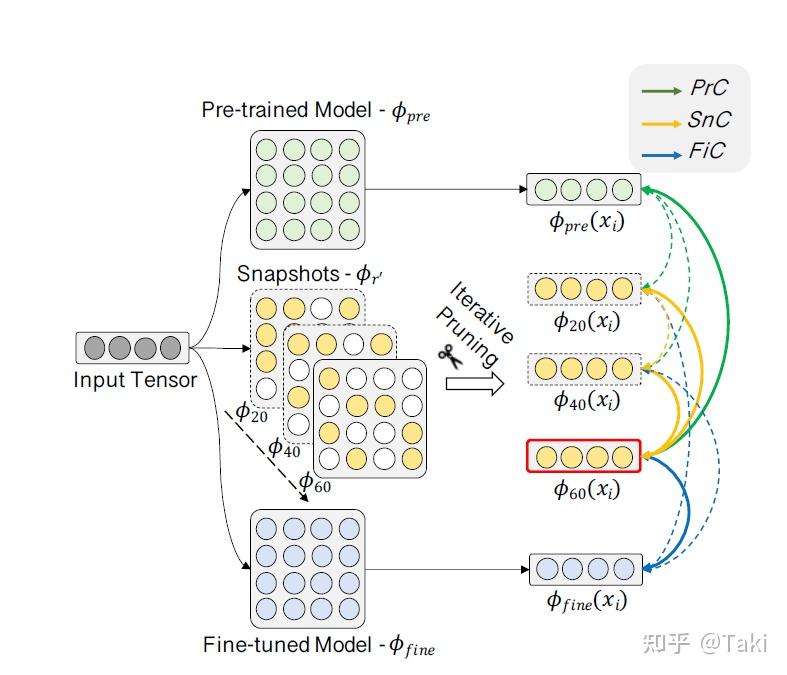 From Dense to Sparse: Contrastive Pruning for Better Pre-trained ...