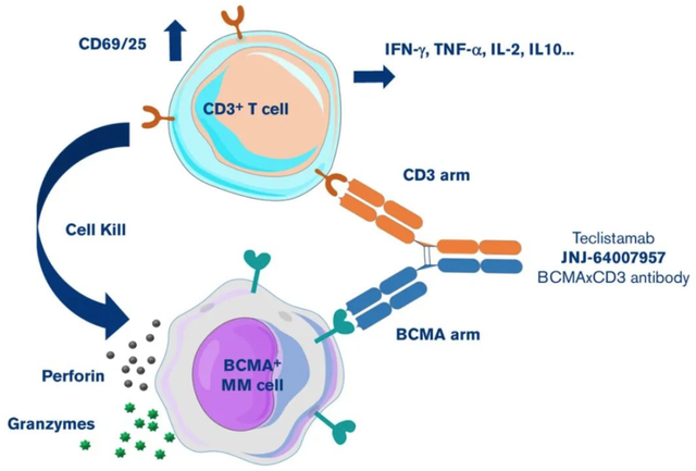 从Linvoseltamab最新临床数据公布，看BCMA/CD3双抗研究进展 - 知乎