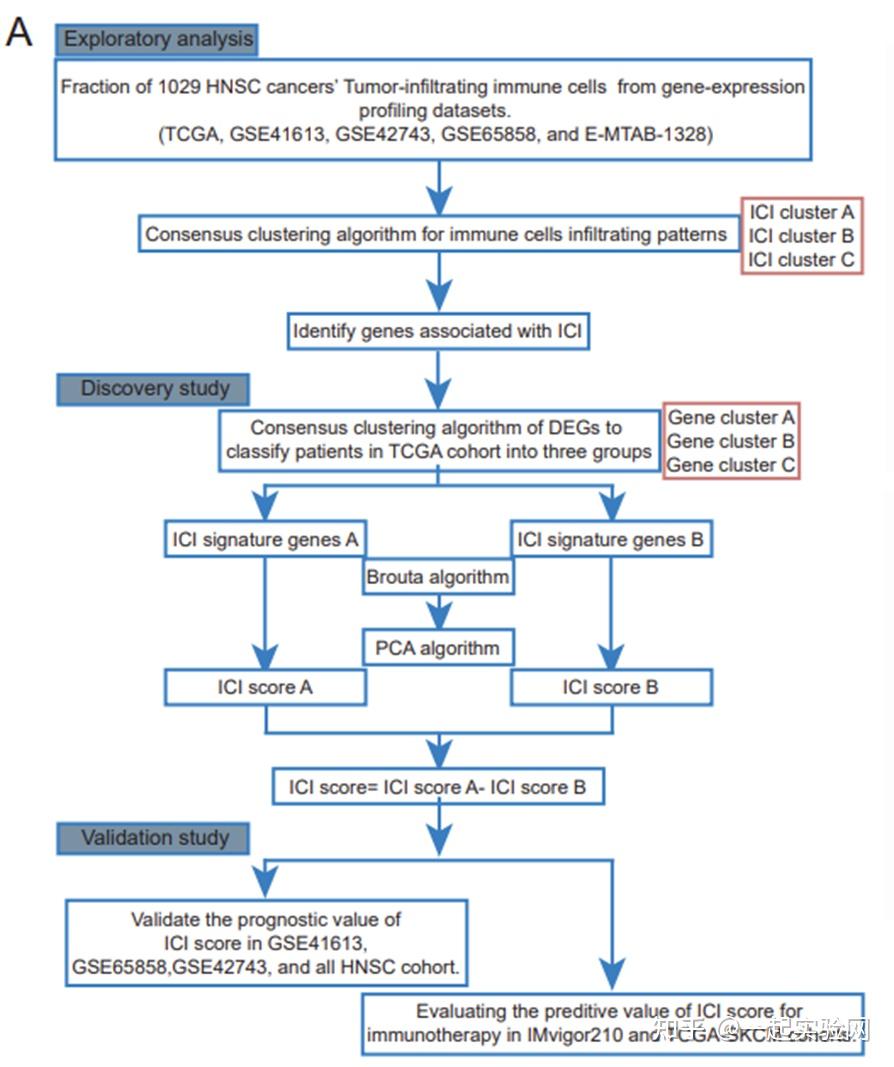 表征头颈部鳞状细胞癌的免疫细胞浸润景观 - 知乎