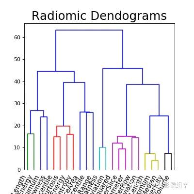 聚类树状图Dendrogram的python实现-影像组学（radiomics）小李教学系列视频笔记 - 知乎