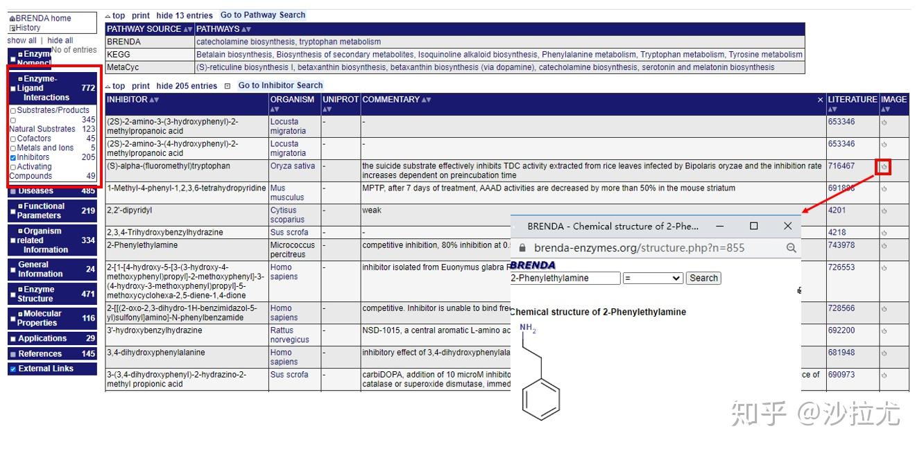 初识Enzyme Database-BRENDA - 知乎