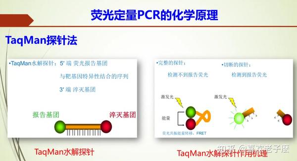荧光定量PCR的基本原理（染料法+TaqMan探针法） - 知乎