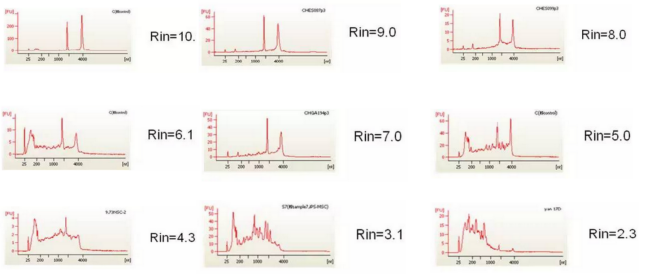 get小技巧，带你玩转RNA提取&反转录 - 知乎