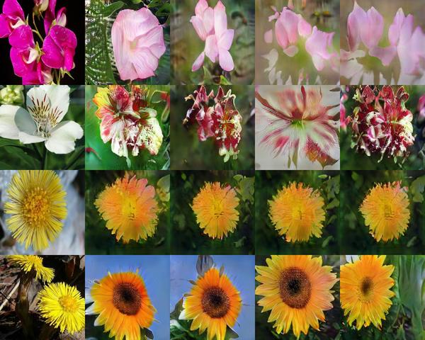 【实验】StackGAN: Text to Photo-realistic Image Synthesis with Stacked GAN - 知乎