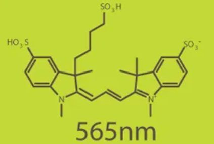 市场上有哪些常见的近红外光荧光染料？