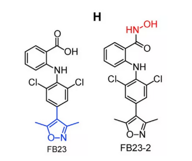 专家点评Cancer Cell | 杨财广/陈建军/钱志坚合作团队开发FTO抑制剂用于抗白血病治疗 - 知乎