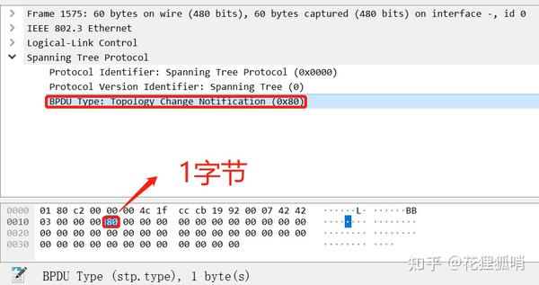 STP报文格式 - 知乎