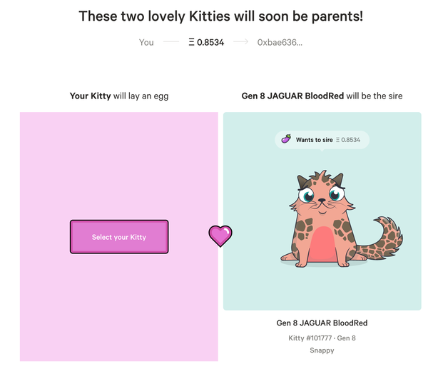 300万一只的区块链电子猫-CryptoKitties完全攻略 - 知乎