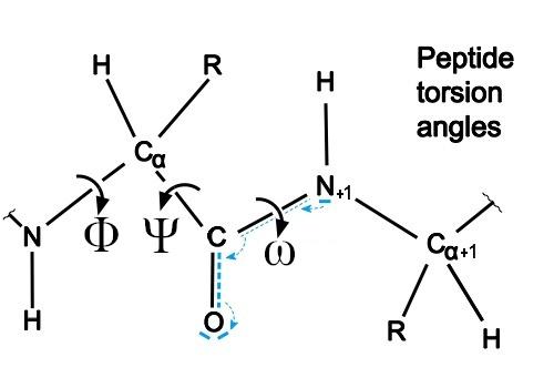 Tinker ： 多肽和核酸的建模 - 知乎
