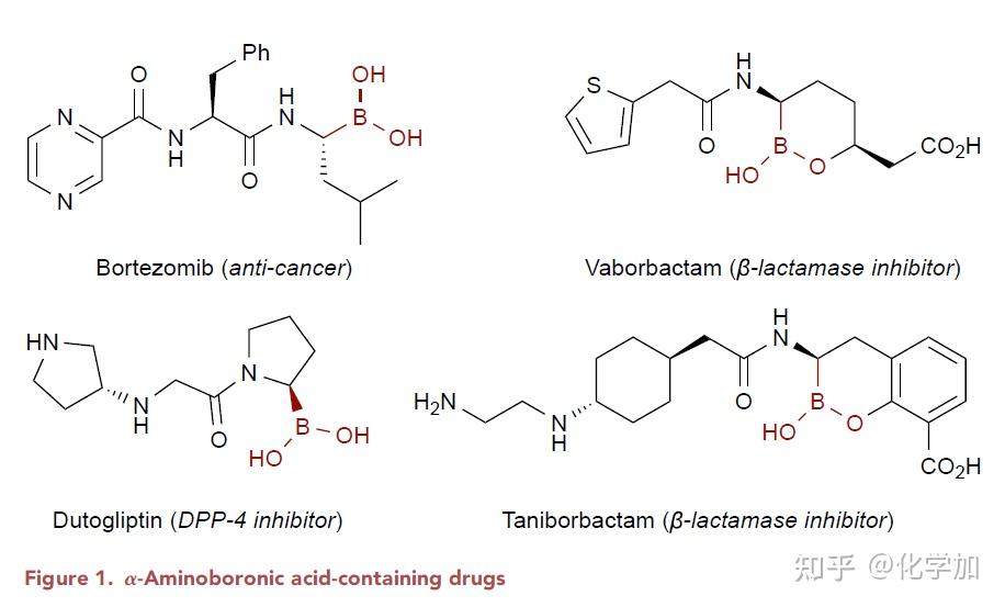 Chem：脂肪胺α-C(sp3)-H硼化反应 - 知乎