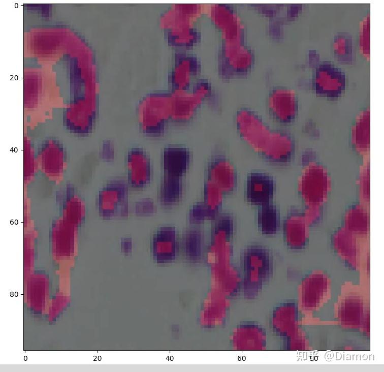 MMLab实战 3. 图像分割mmseg - 知乎