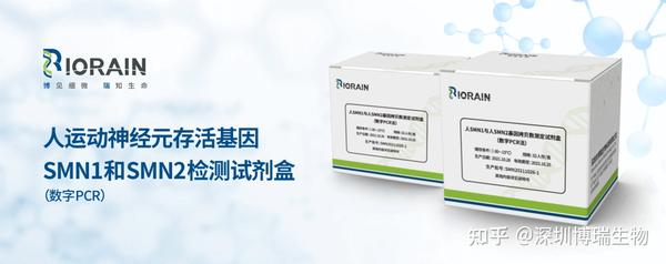 Biorain博瑞生物丨关注SMA，让爱不罕见 - 知乎