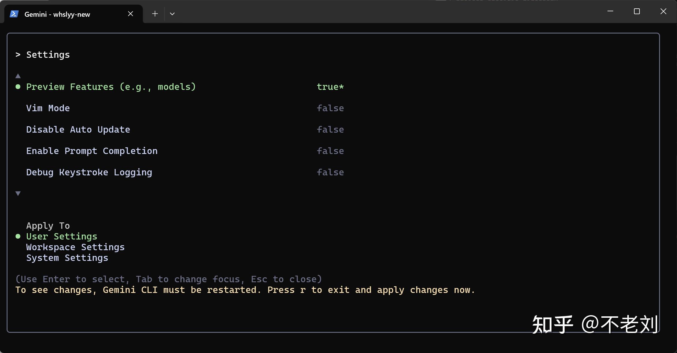 在 Windows 系统上安装官方 Gemini CLI 教程 - 知乎