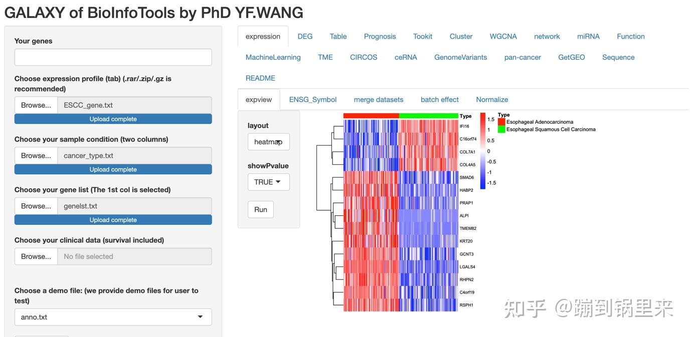 Biowinford 全网最全的生信零代码网页工具--组间比较可视化 - 知乎