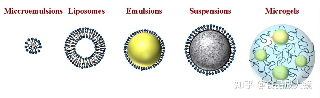 David Julian McClements教授 | 未来食品：食品结构设计优先研究宣言 - 知乎