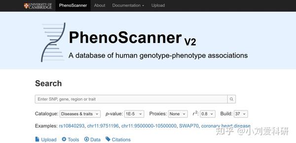 超详细！一文带你读懂孟德尔随机化 - 知乎
