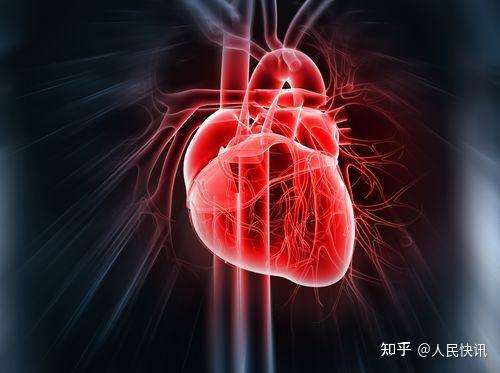 HVE赫曼因NMN改善对老年人心脏的保护 - 知乎