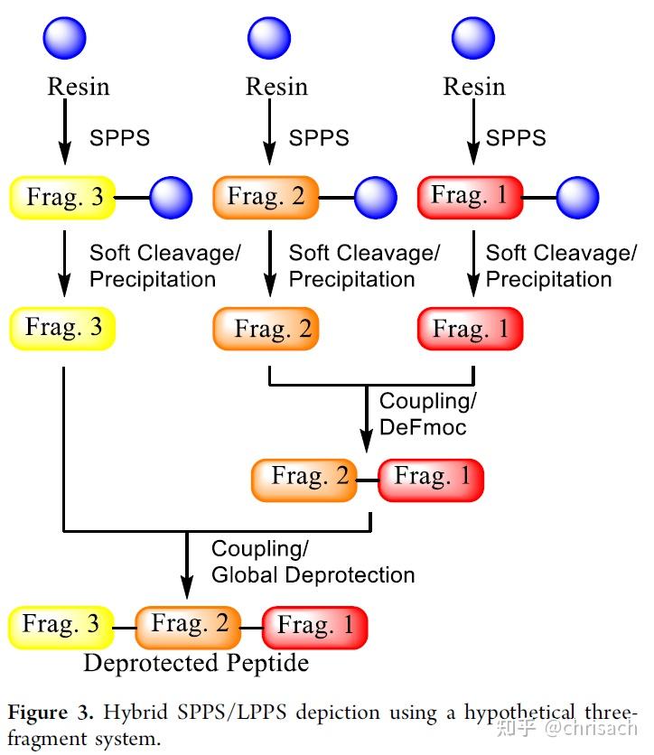 固相合成（SPPS）和液相合成（LPPS）制备多肽的优缺点 - 知乎