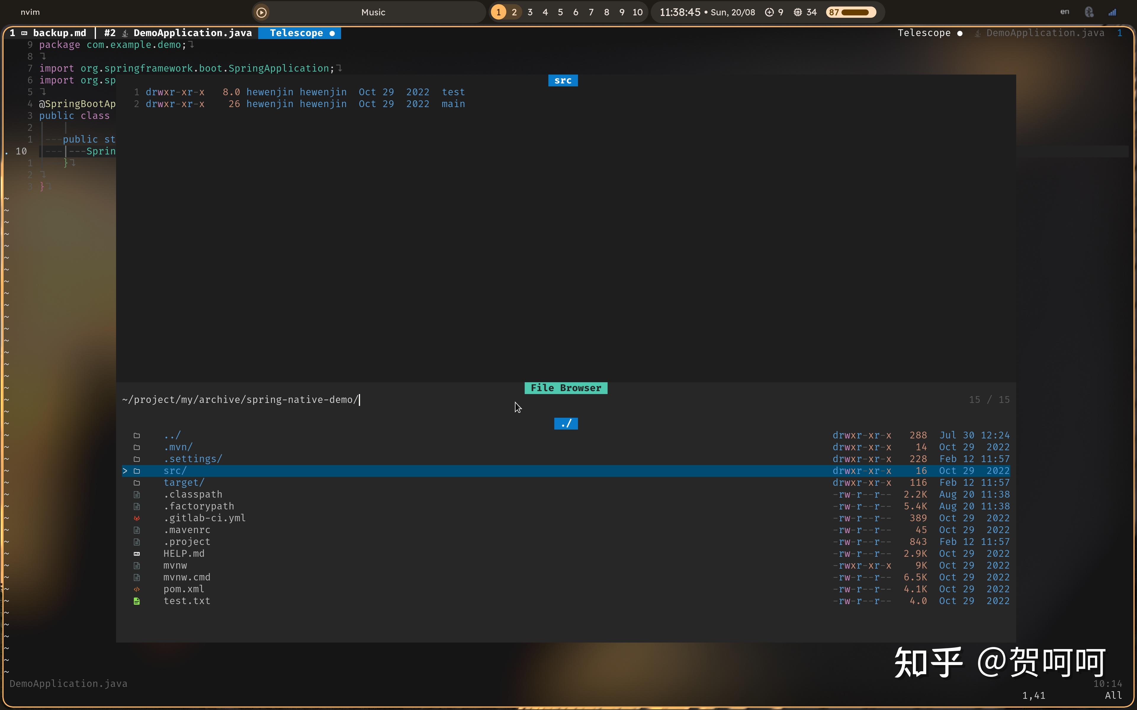 neovim 配置记录 - 知乎