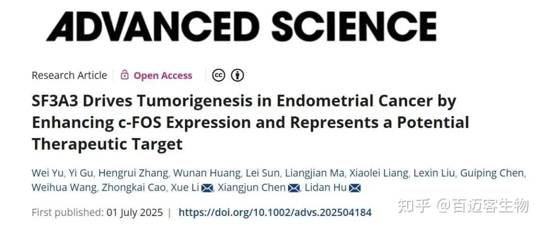 IF14.1 Adv Sci | 浙江大学团队发表突破性研究成果 - 知乎