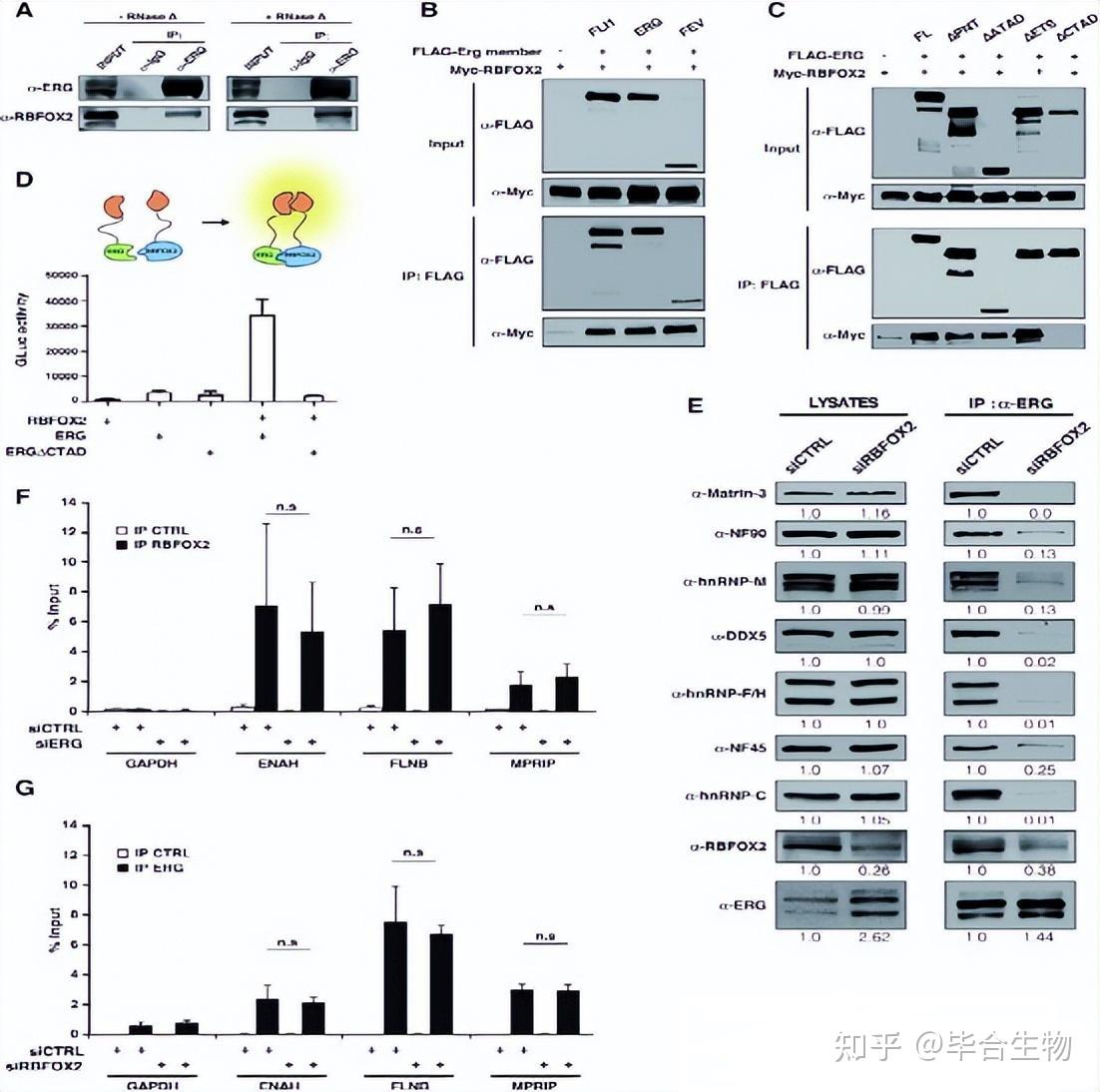精确转录因子结合位点绘图 - 知乎