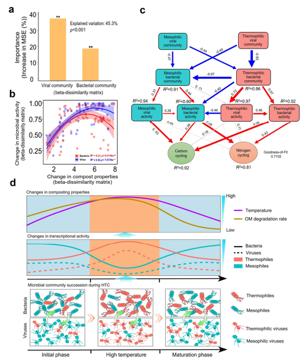 凌波微课讲师文章|福建农林大学周顺桂团队ISME J：首次发现嗜热病毒参与超高温堆肥过程中碳氮养分转化过程 - 知乎