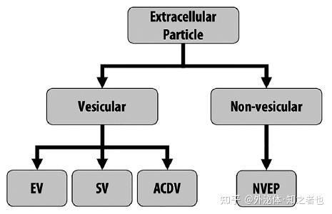 MISEV2023|千人编写|外泌体研究“定海神针”|超详细解读系列连载 - 知乎