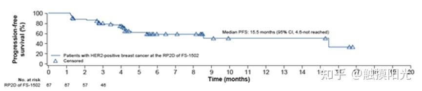 FS-1502客观缓解率达53.7%！新型HER2 ADC药物展现广阔应用前景！ - 知乎