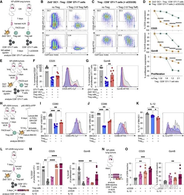 Immunity ｜ IFN-γ的组织特异性丰度驱动T细胞对肺癌的应答功能失调 - 知乎