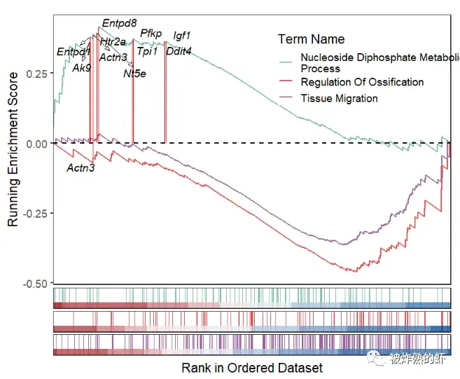 富集分析可视化 | GseaVis - 知乎