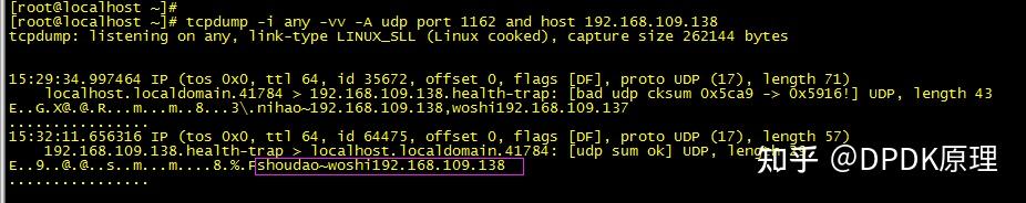 【udp】数据解析 - 知乎