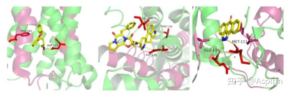 Bioinformatics | TransformerCPI模型 - 知乎