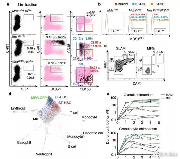 前沿分子生物学技术(22) Nature | 活体成像-天然造血干细胞祖细胞 - 知乎