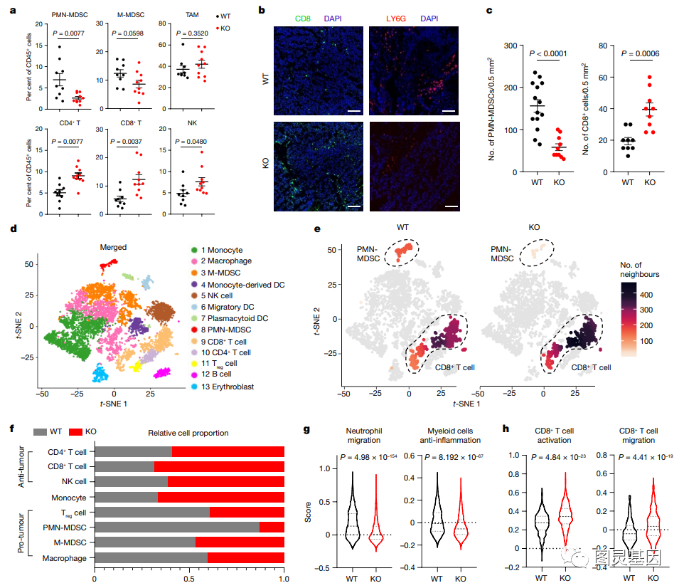 Nature | 复旦大学团队发现免疫治疗新靶点CD300ld - 知乎