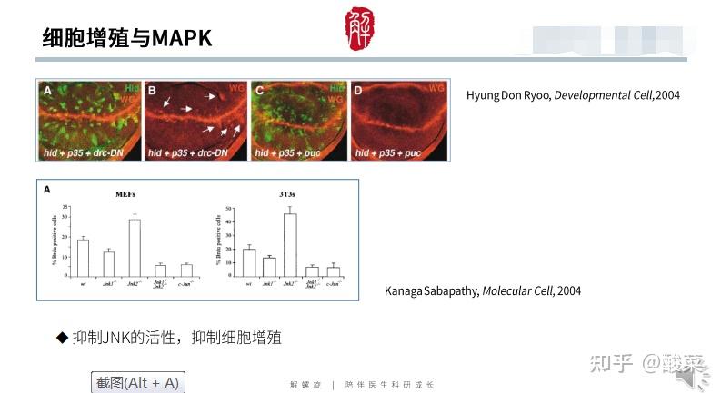 1条就是1篇SCI！带你研究12条信号通路，NF-κB、MAPK、AKT、PI3K…… - 知乎
