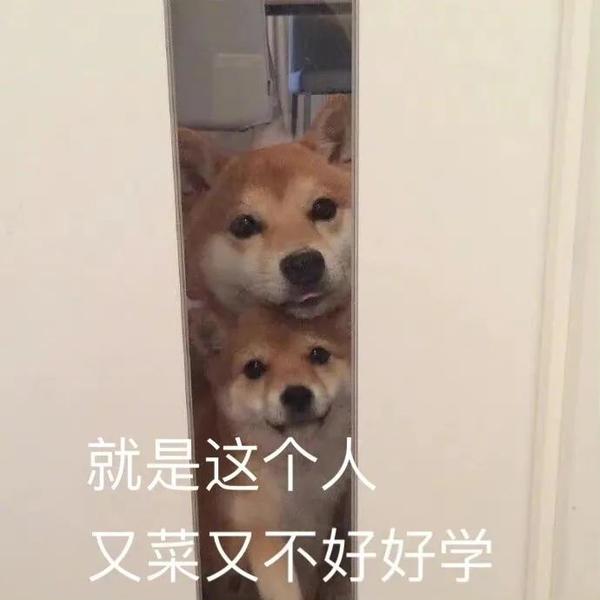 爱学习的表情包 - 知乎