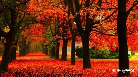 Robert Frost(罗伯特·弗罗斯特)《My November Guest》《我的十一月访客》解析 - 知乎