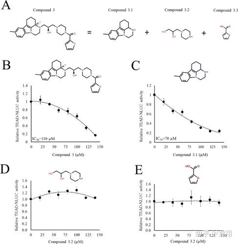 新型YAP - TEAD相互作用抑制剂 - 知乎