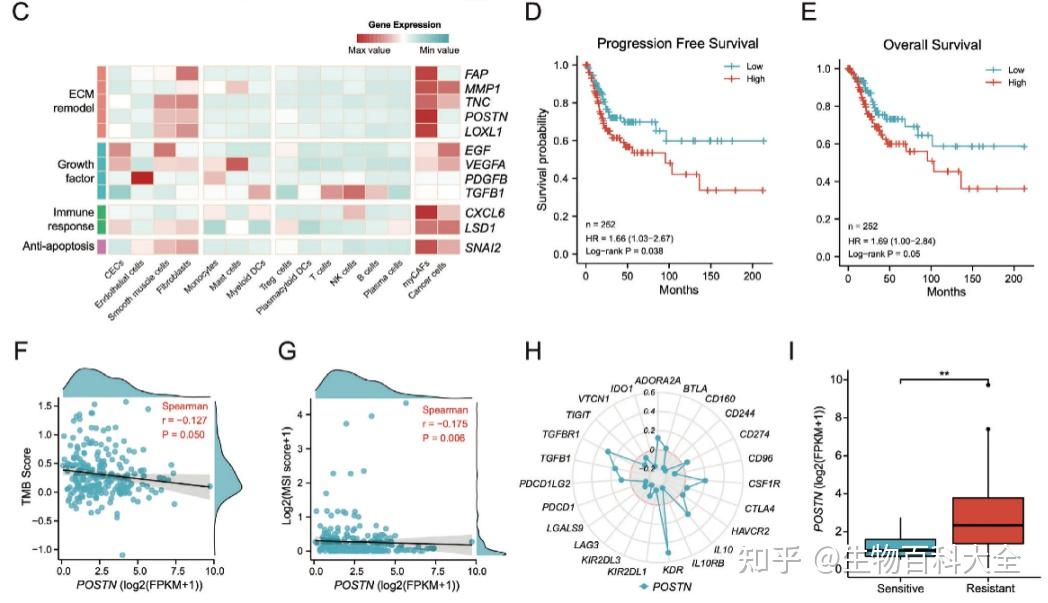 文献解读｜单核RNA测序和空间转录组学揭示宫颈鳞状细胞癌的免疫微环境 - 知乎