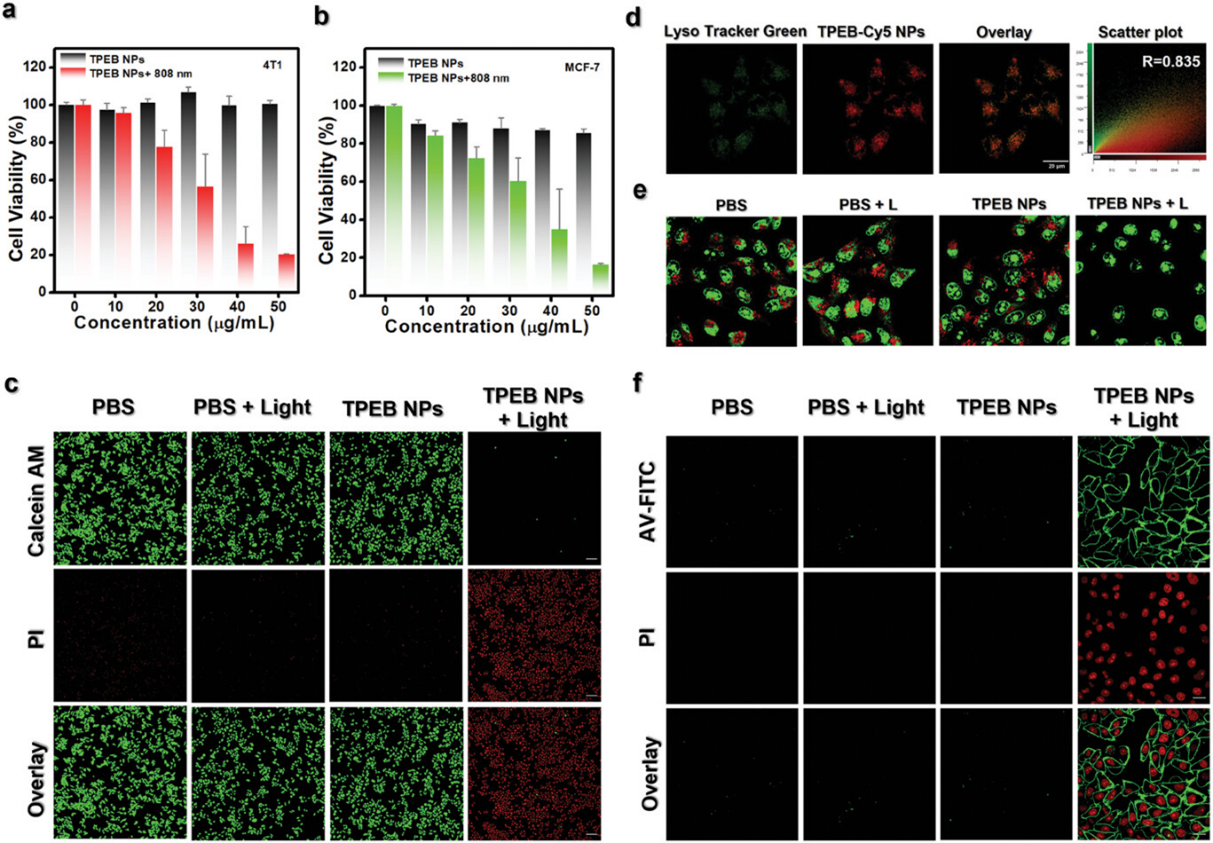 纳米探针 | BOIMPY骨架：获取超高摩尔消光系数的AIEgen用于SWIR成像-引导癌症光热消融 - 知乎