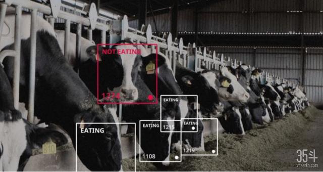 全球畜牧健康监测创新梳理：应用AIoT ，从单产品到系统解决方案 - 知乎